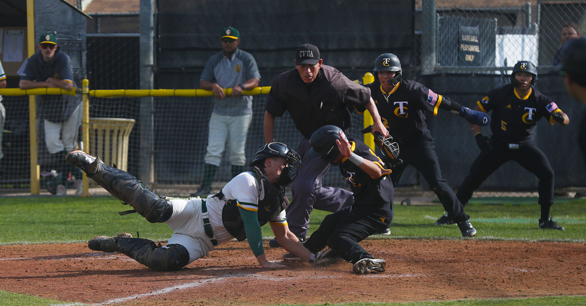Cougar baseball swept by Feather River | Newsletter | taftmidwaydriller.com
