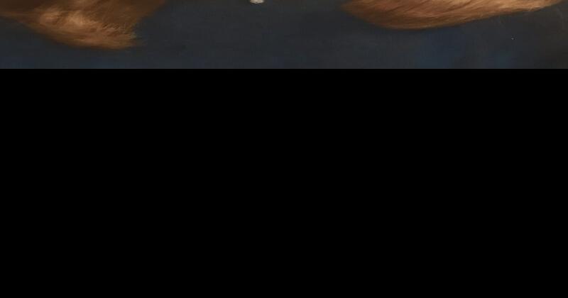 Doris Kay Dyer | Newsletter | taftmidwaydriller.com