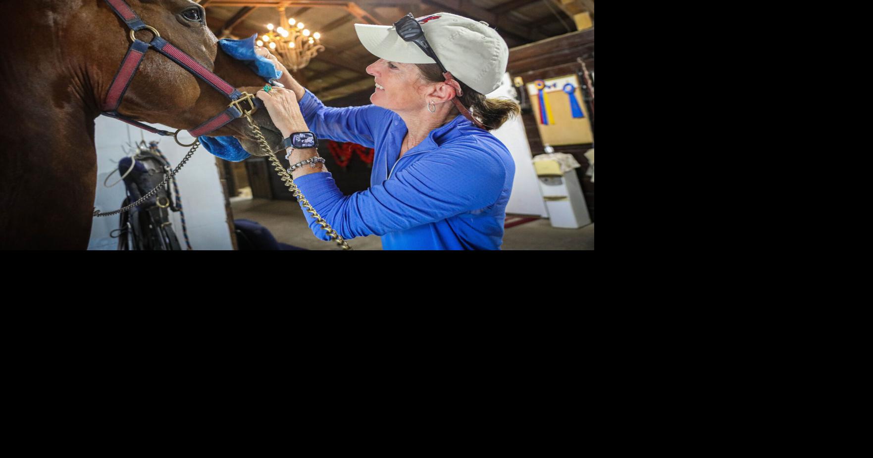 West Coast Morgans Offers Educational Summer Horse Riding Camp for Kids ...
