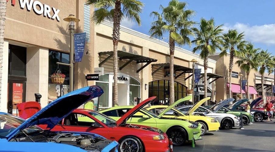 Things to do around Tampa/Wesley Chapel: Nov. 16-22 | Community ...