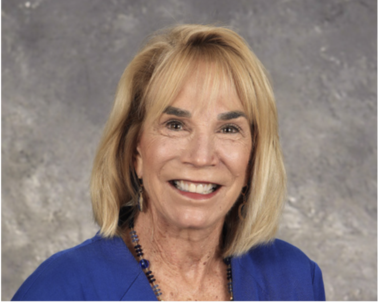 Meet the candidates running for Hillsborough County School Board ...