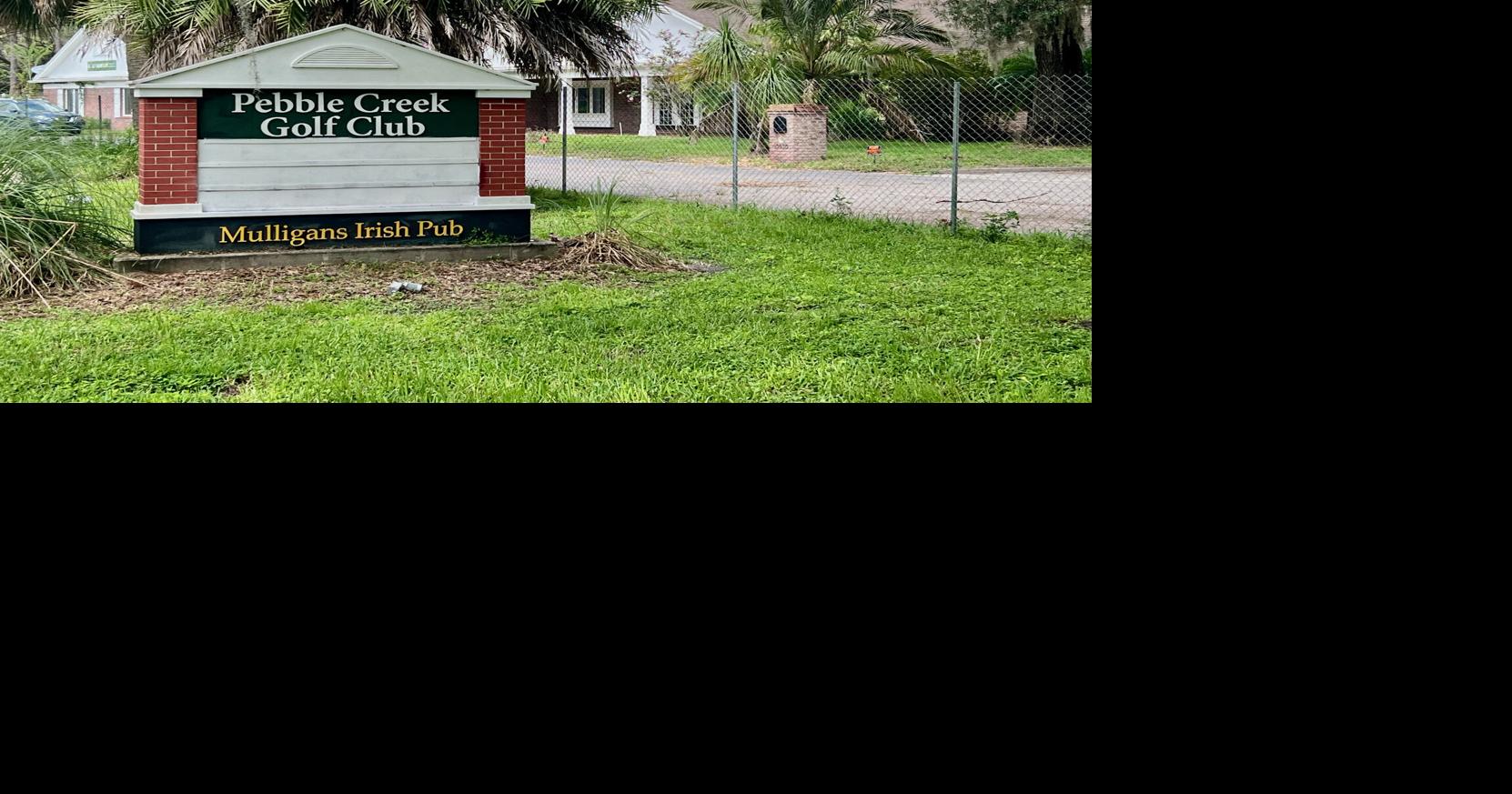 Judge quashes Hillsborough County Commission’s decision on Pebble Creek ...