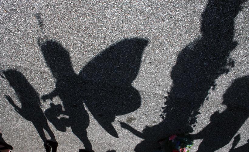 Wesley Chapel Fall Festival | Wesley Chapel | tampabeacon.com