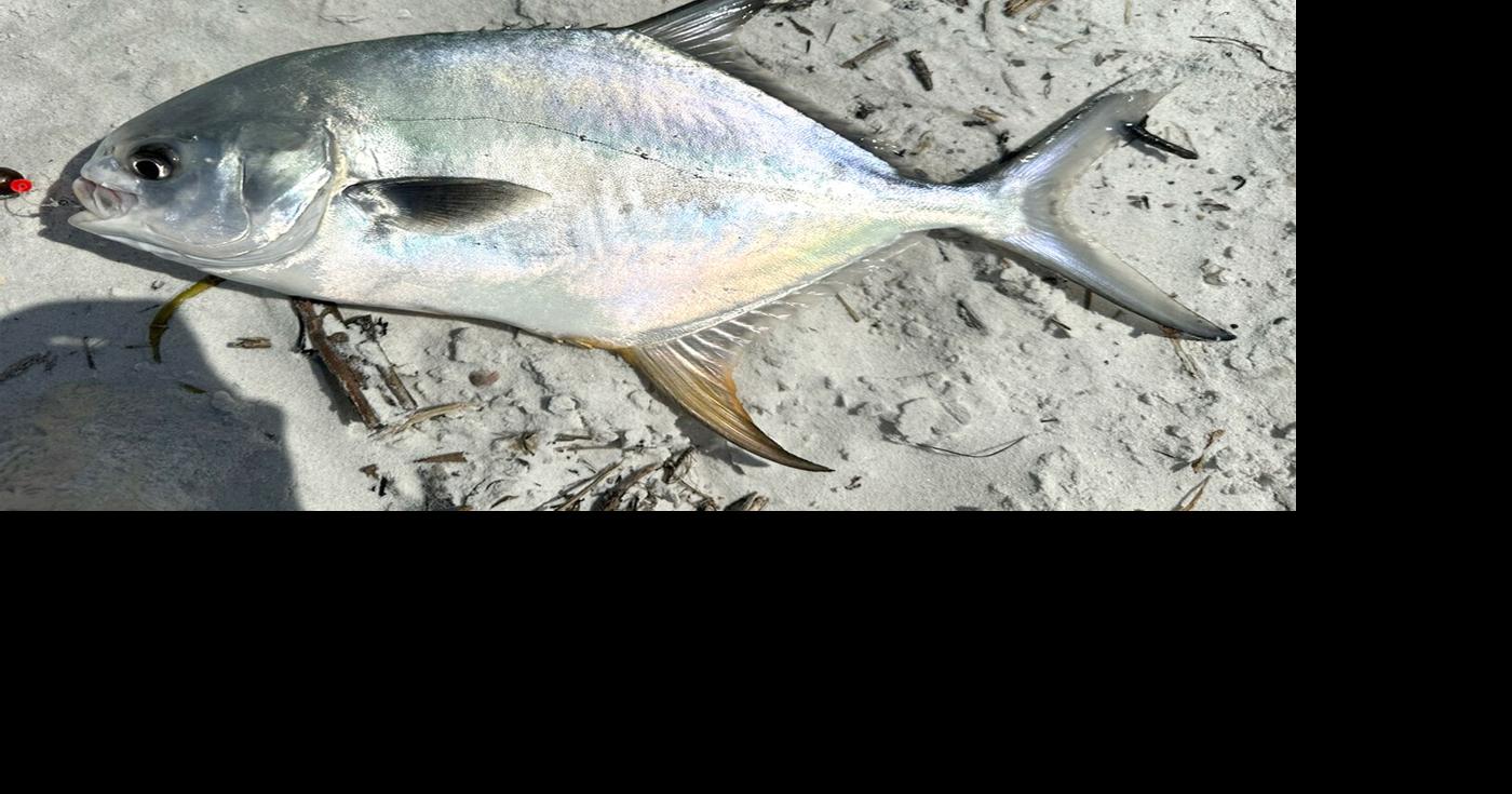 The Tampa Bay Fishin’ Report: Redfish bite remains strong all around ...