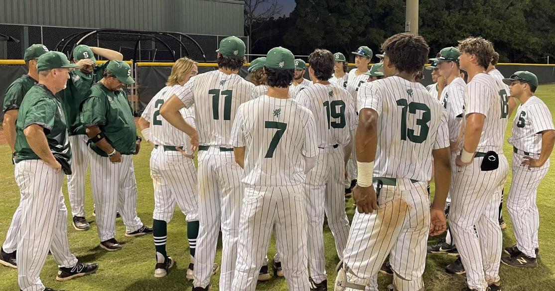 BASEBALL: Grand slam powers Sickles to states | Sports | tampabeacon.com