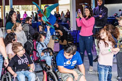 Around Town: Tampa news briefs | News | tampabeacon.com