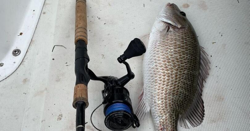 The Fishin’ Report: Trout near Gandy Bridge a good bet | Sports ...