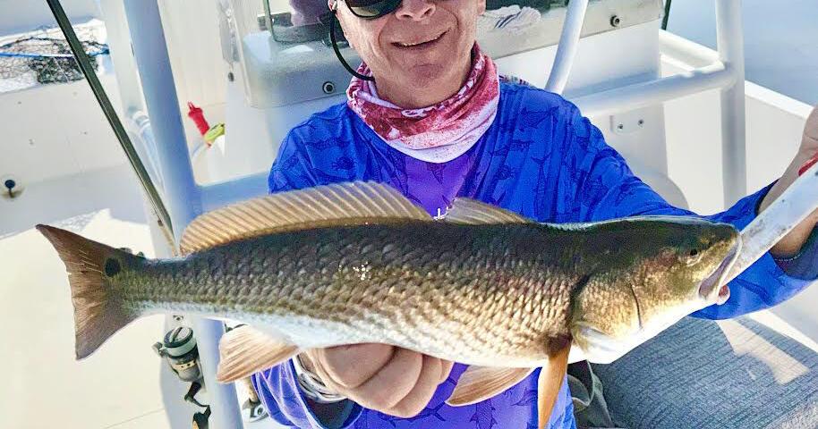 The Tampa Bay Fishin’ Report: Redfish action in the bay has been hot | Sports | tampabeacon.com