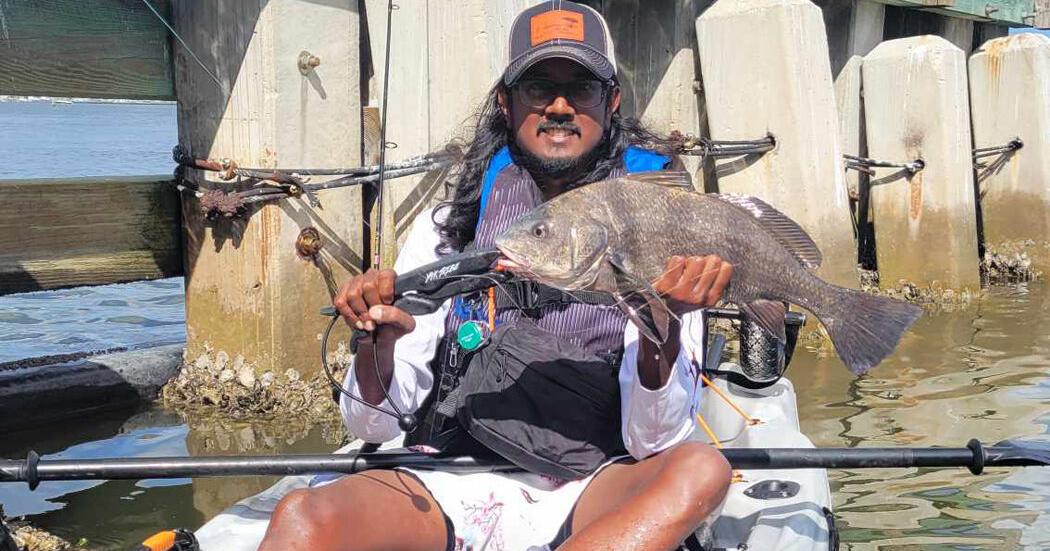 The Tampa Bay Fishin’ Report: Bridge pilings a good spot to find black ...