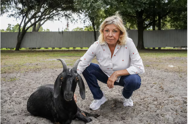 At Odessa sanctuary, this goat is smiling for a good reason | News ...