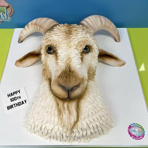 Tampa bakery gaining reputation for custom cakes, including one for Tom ...