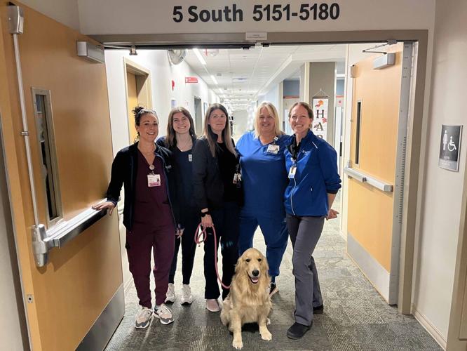 Therapy dog joins Lutz hospital full time | News | tampabeacon.com