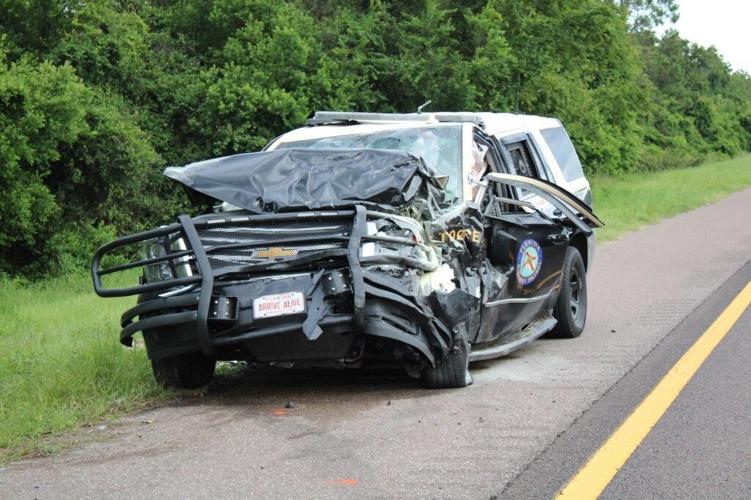 FHP troopers, dogs hurt in crash | Crime, Crashes and Fires ...