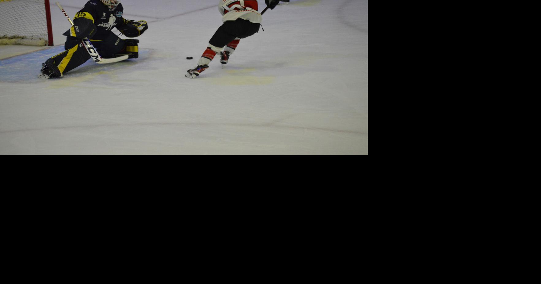 Pro women’s hockey tour comes to Wesley Chapel | Pasco County ...