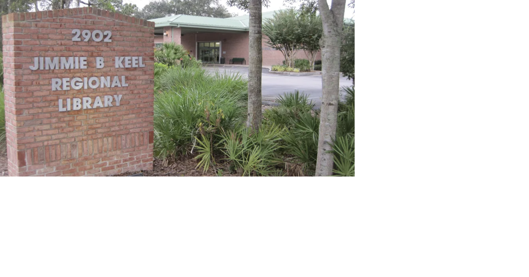 Are more parental controls coming to Hillsborough libraries? | News ...