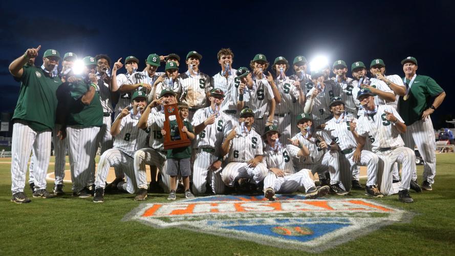 Sickles wins first state baseball championship in school history ...