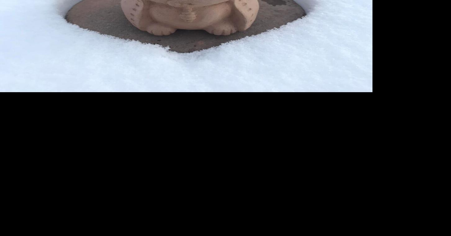 Tonglen practice for awakening compassion | Columns | taosnews.com