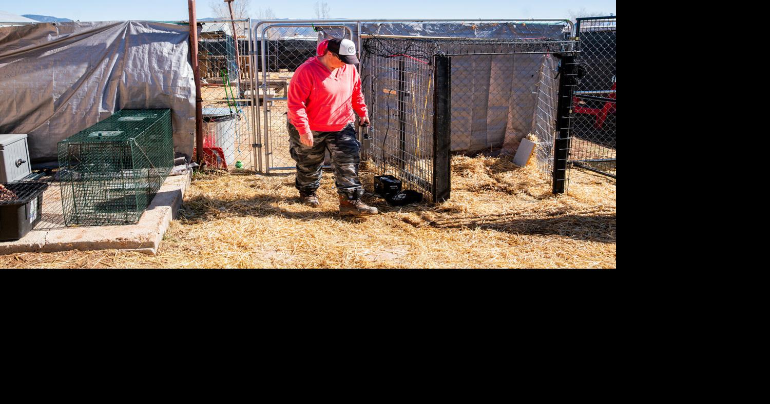 Local designs humane dog crate trap | Animals in the News | taosnews.com