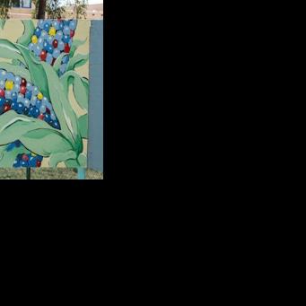 Community collaboration brings pop-up mural gallery to Taos Plaza ...