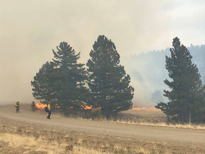Valle Vidal prescribed burn moves ahead | Environment | taosnews.com