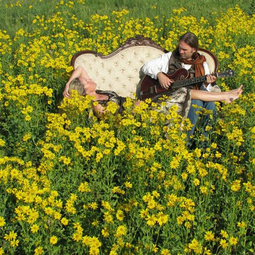 Non-Profit Fest helping make Taos a better place | Music | taosnews.com