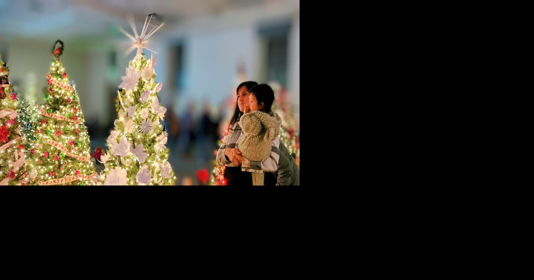 Festival of Trees | Taos Aglow | taosnews.com