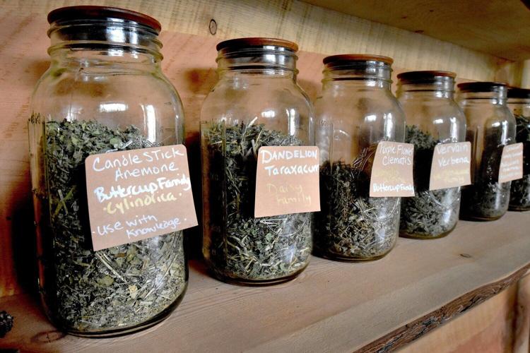 Nature's alchemy | Business | taosnews.com