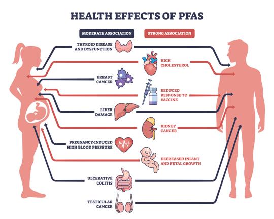 NM approves PFAS labeling requirements for consumer products | Business ...
