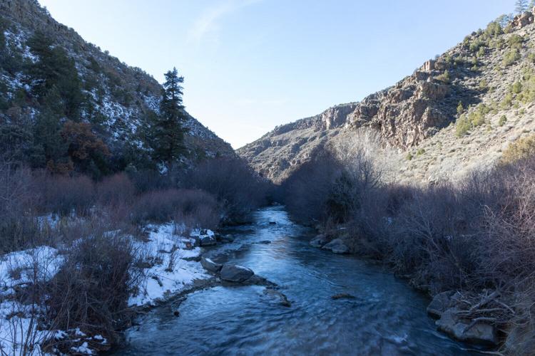 Trout rebounding in Red River | Environment | taosnews.com