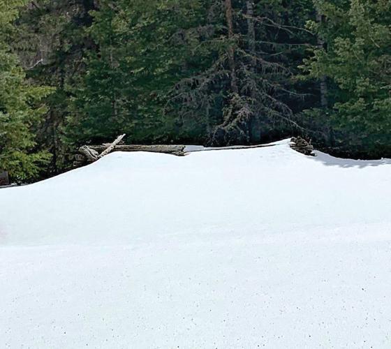 Tips for surviving an injury in the high country | La Vida | taosnews.com