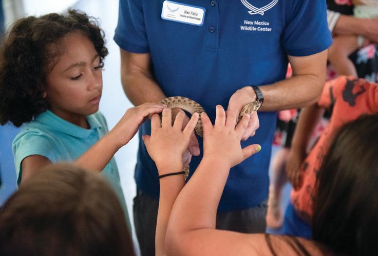 Photo gallery: Up close with snakes and raptors | Tempo | taosnews.com