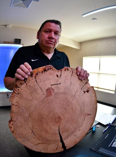 An ancient connection | Local News | taosnews.com