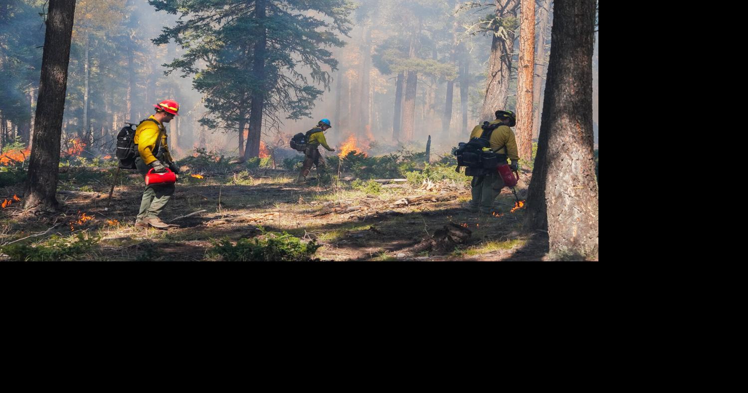 Rx burn planned in Valle Vidal | public safety | taosnews.com