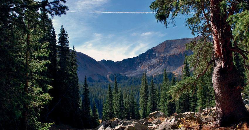 TSV village mandates masks | Coronavirus | taosnews.com