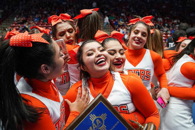 Tigers, Wildcats take home trophies at State Cheer Championship | Prep ...