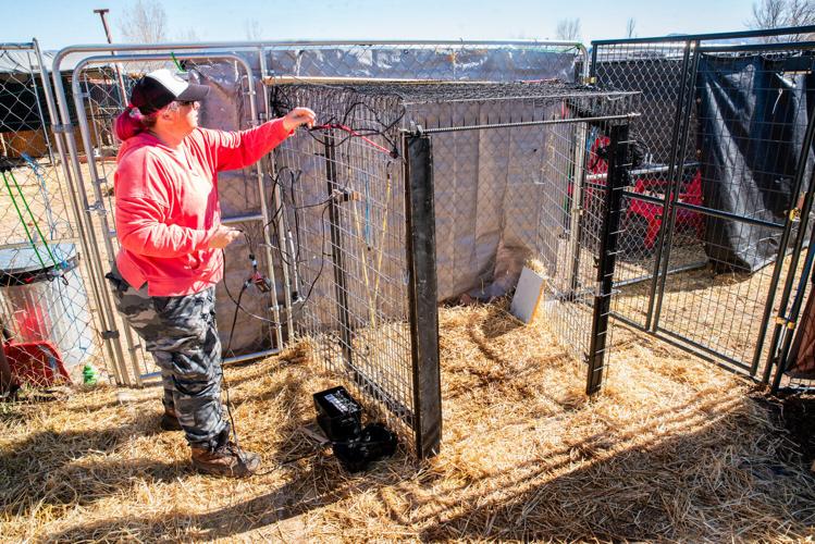 Local designs humane dog crate trap | Animals in the News | taosnews.com