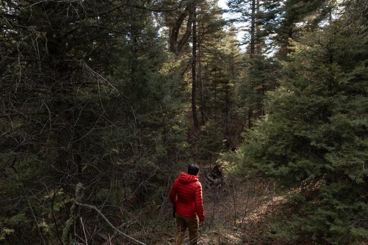 Taos Land Trust acquires 144 acres in El Salto | Environment | taosnews.com