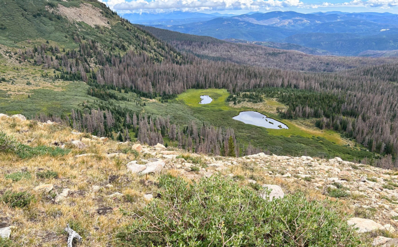 Northern New Mexico hikes for every season of 2026 | News | taosnews.com