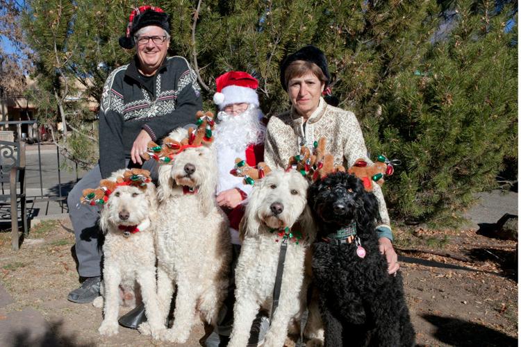 Santa Paws raises funds for Stray Hearts shelter | Local News ...