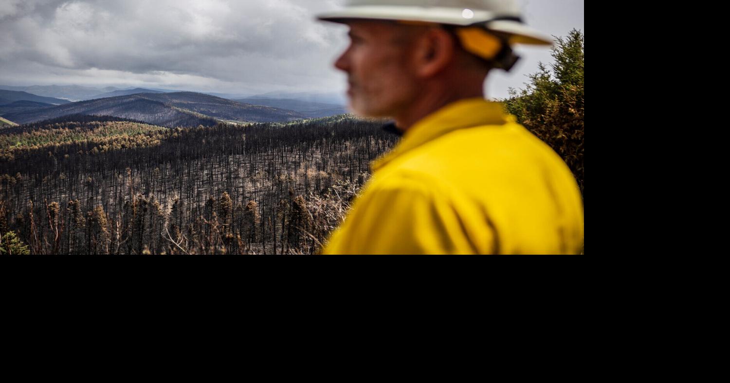 Mora to become reforestation hub | Environment | taosnews.com