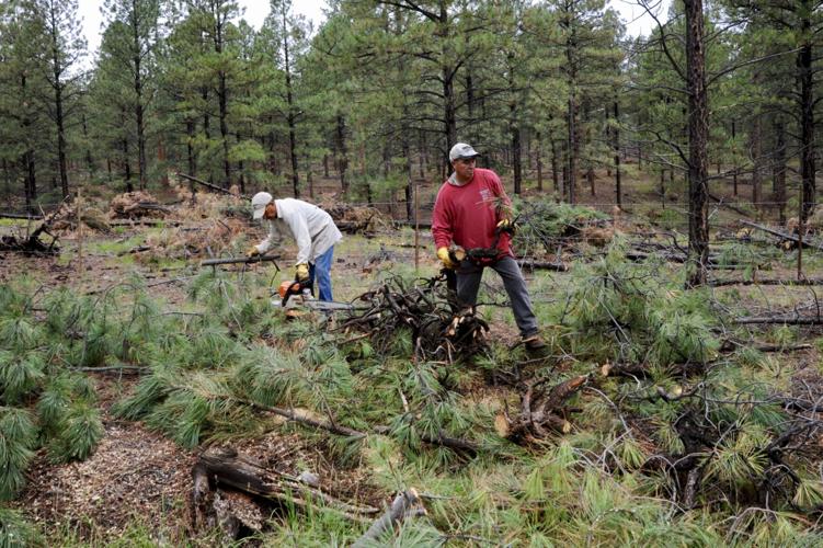 Camino Real and Questa ranger districts offering free firewood permits ...