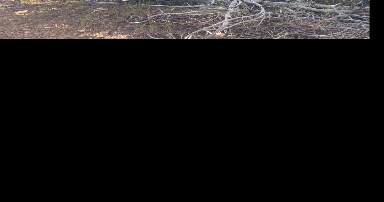 Taos Canyon wildfire fully contained | News | taosnews.com