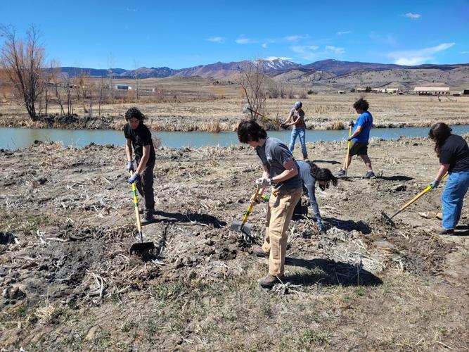 Restoring the land can feel a lot like fun | Columns | taosnews.com