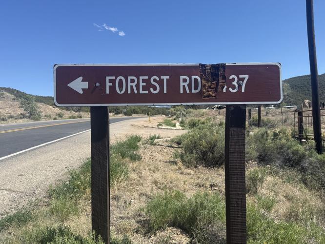 Police confirm body is missing Taos woman, LANL worker | public safety ...