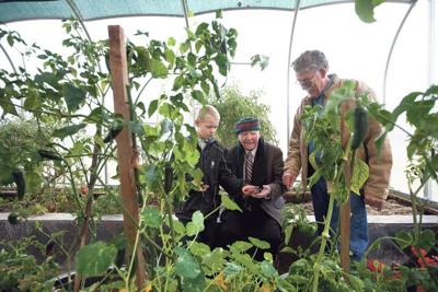 Taos Barwick family grows food year-round | La Vida | taosnews.com