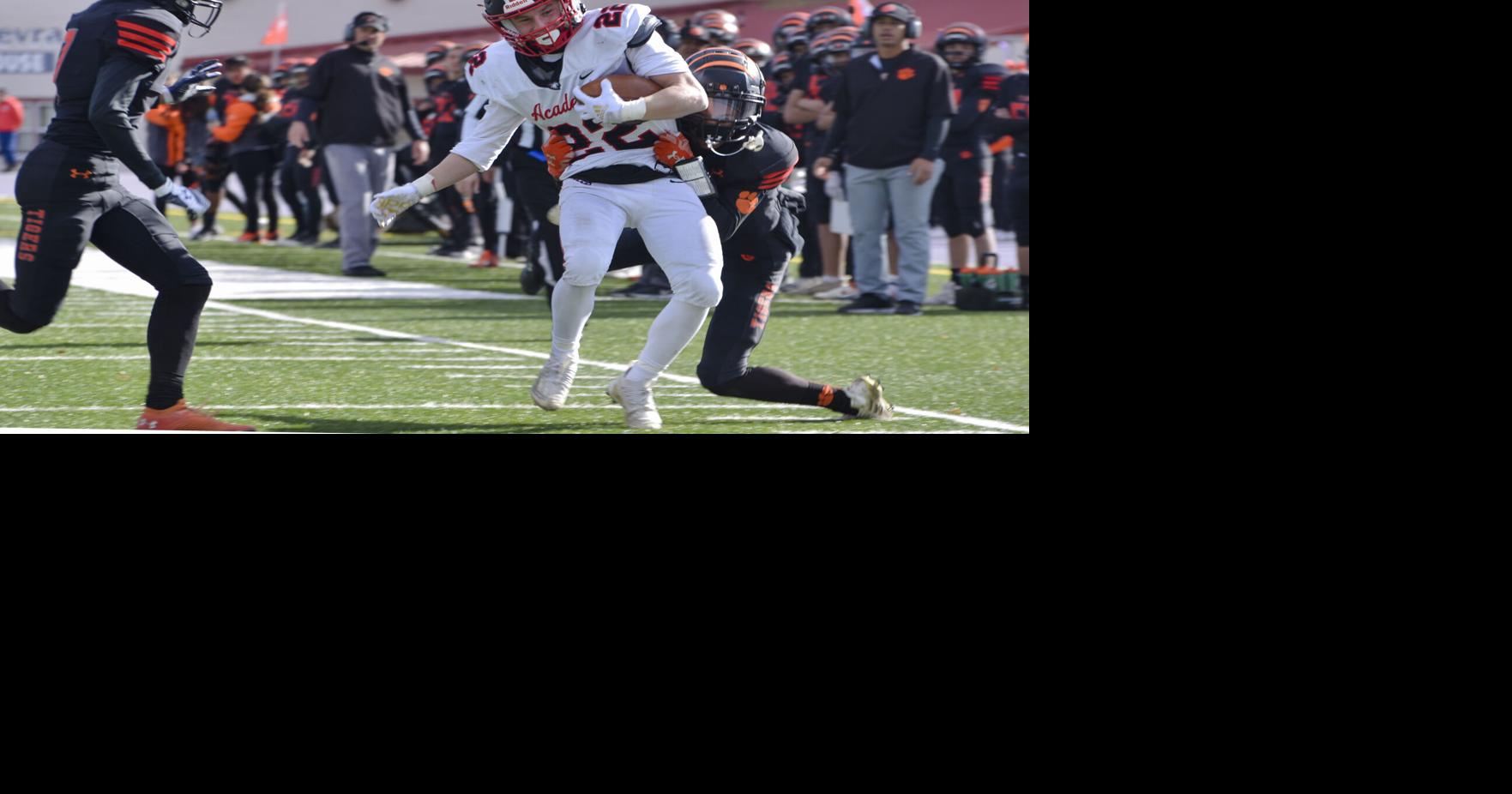 Tigers advance, set to battle Bloomfield | News | taosnews.com