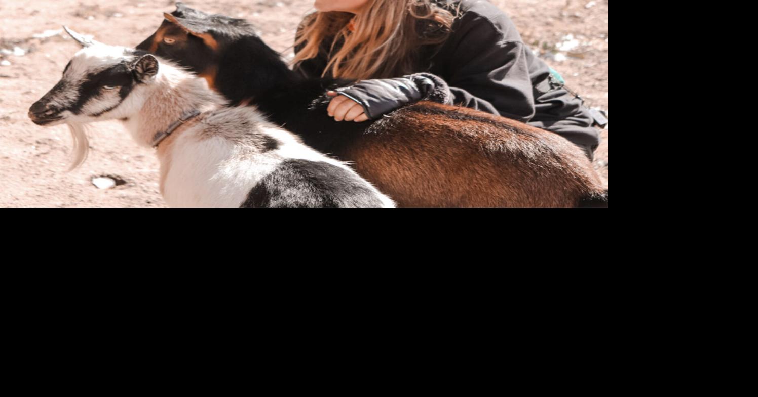 Take a stroll with goats | Business | taosnews.com