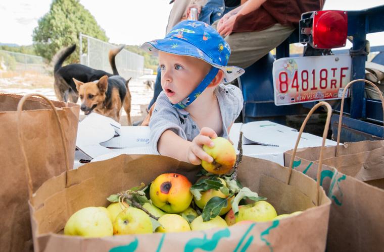 San Cristobal enjoys cider, community at annual apple pressing ...