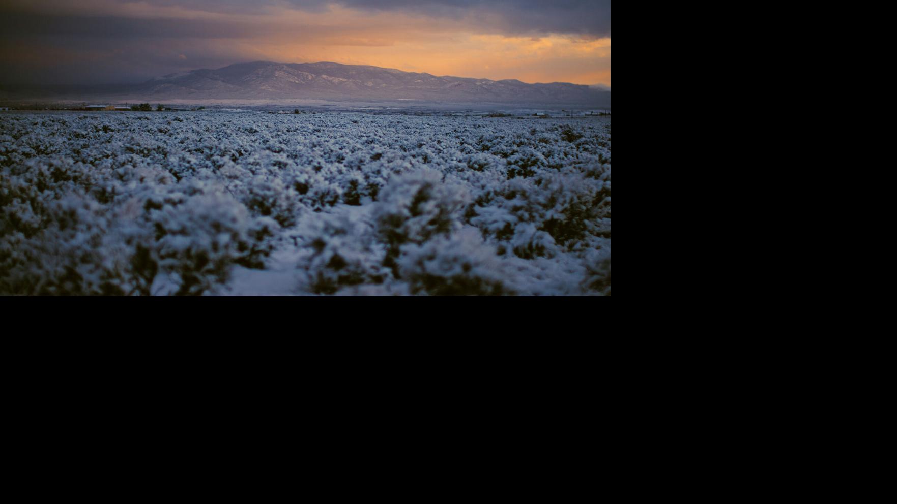 Discover Taos Winter/Spring | taosnews.com