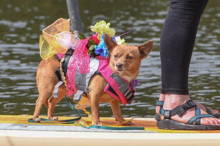 Regatta races royale in Angel Fire | Sports | taosnews.com